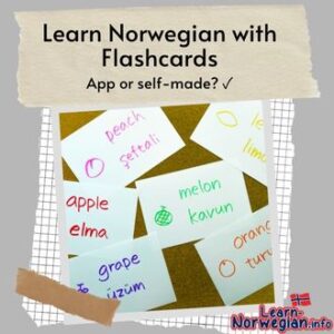 Learn Norwegian with Flashcards | App or self-made?